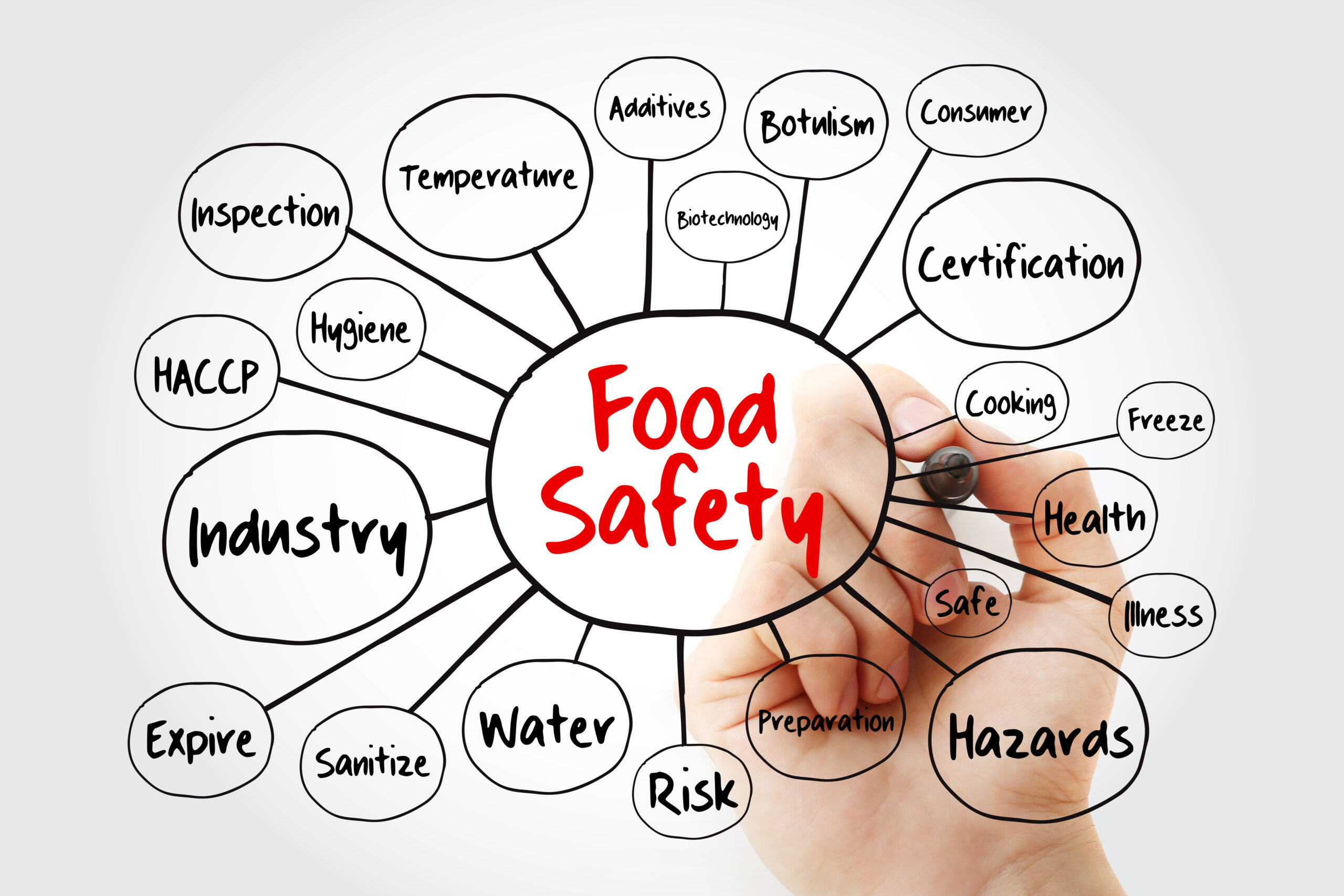 Who is responsible for food safety in a catering operation? | EF-group